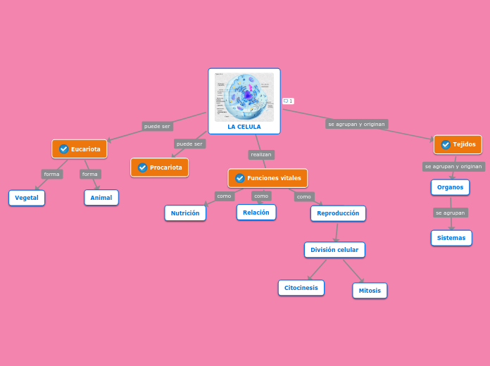 LA CELULA - Mind Map